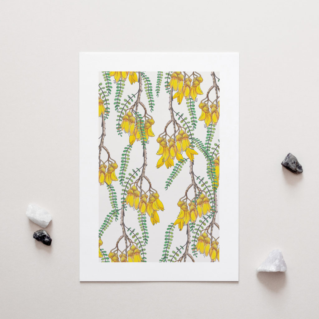 Branches of Kowhai Art Print - Penny Royal Design