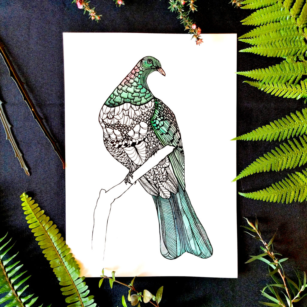 A3 Kereru Art Print (Hand Coloured) - Penny Royal Design