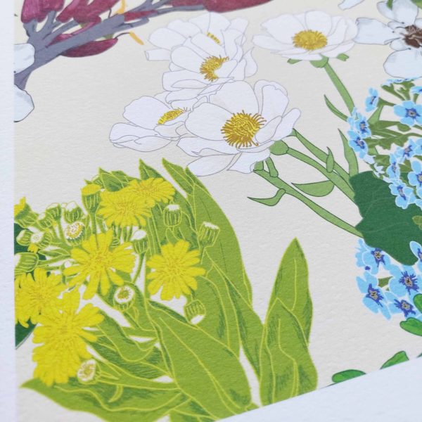 NZ Native Flowers Art Print - Penny Royal Design