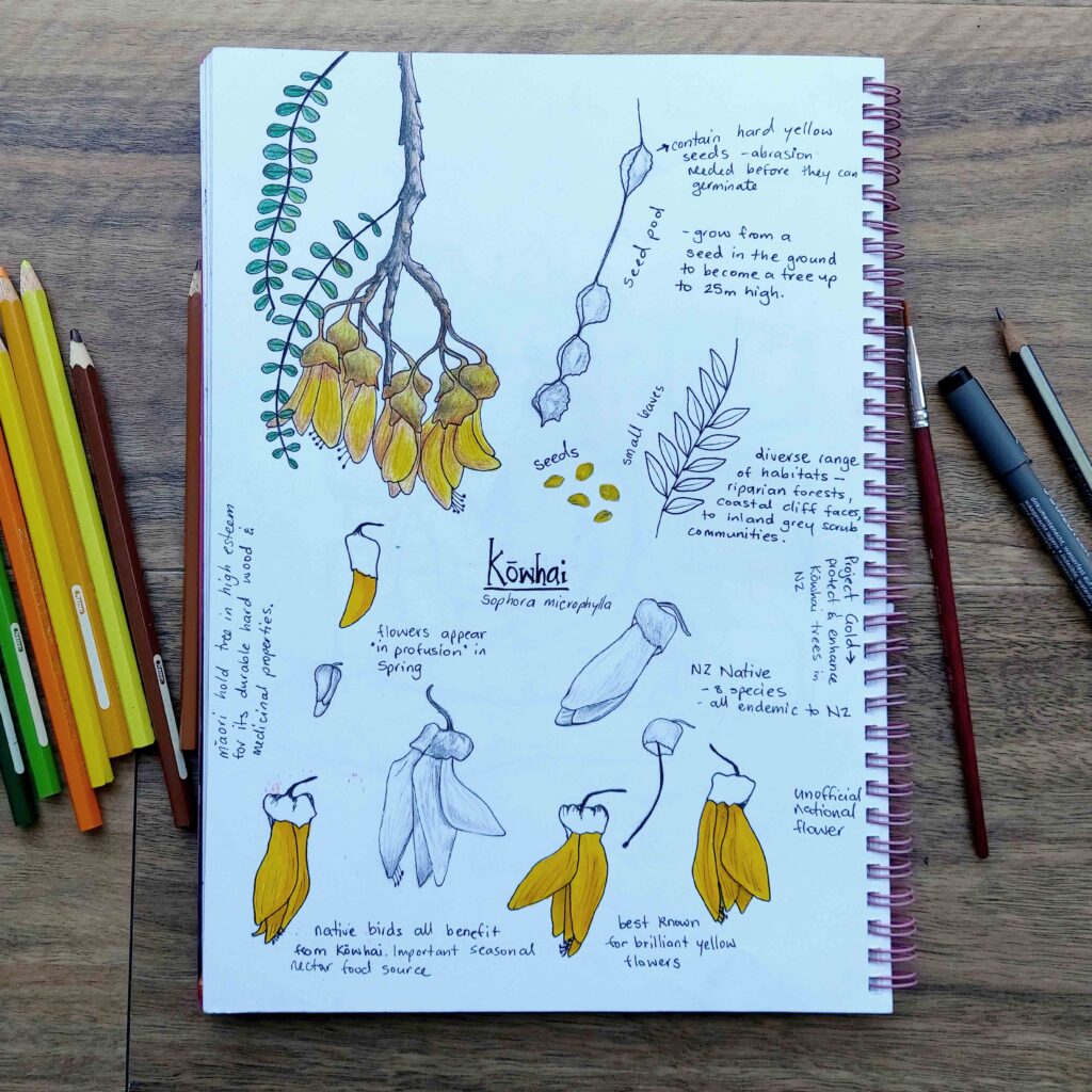 Kowhai Yellow Jandals / Flip-Flops - Penny Royal Design