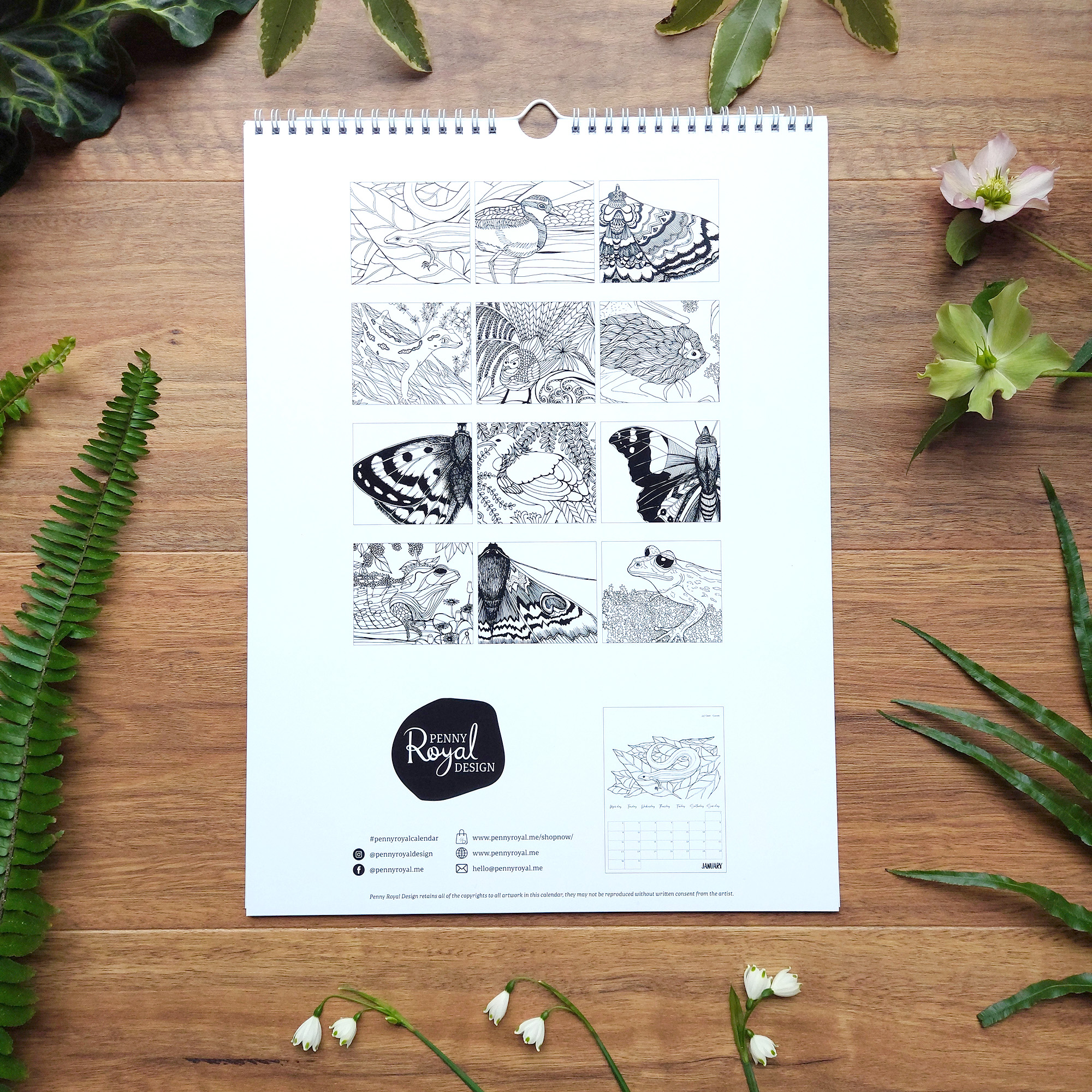 NZ Natives Colouring Calendars 2023 - Penny Royal Design