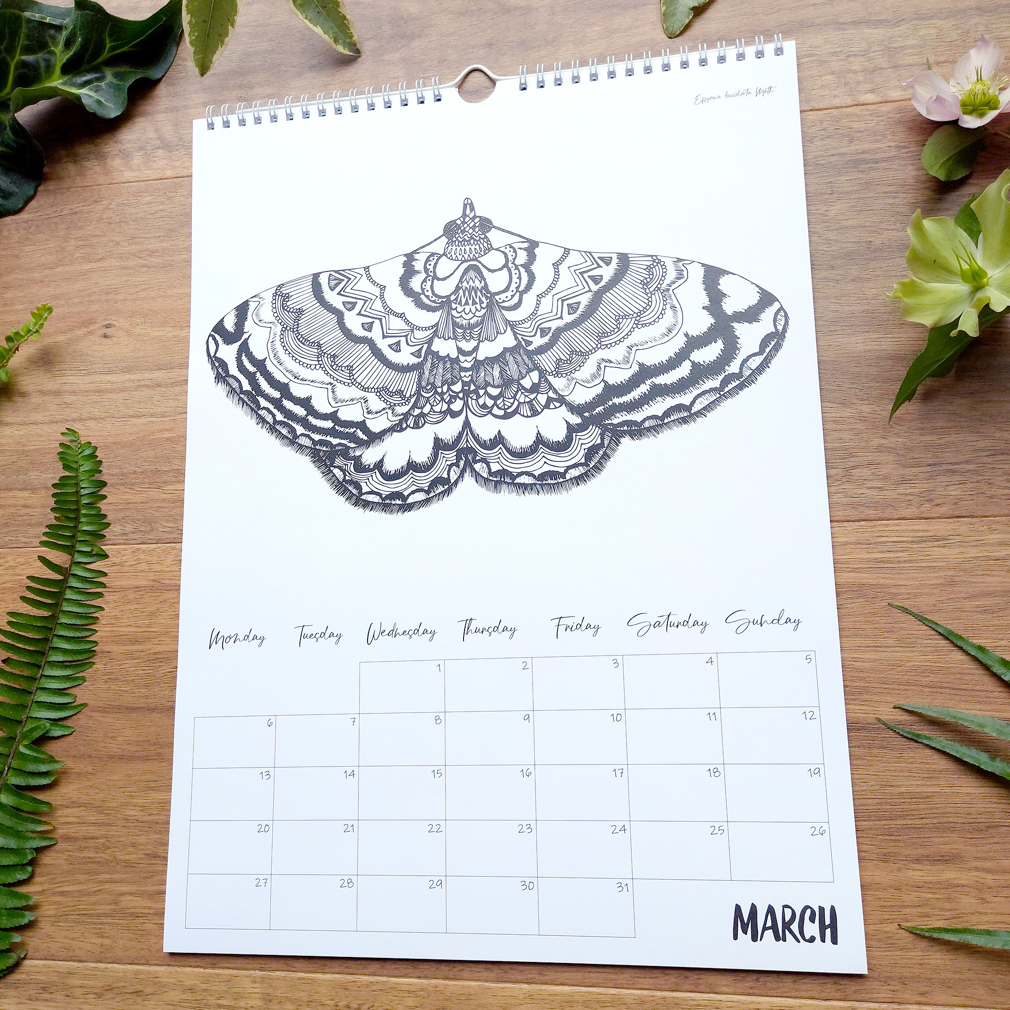 NZ Natives Colouring Calendars 2023 - Penny Royal Design