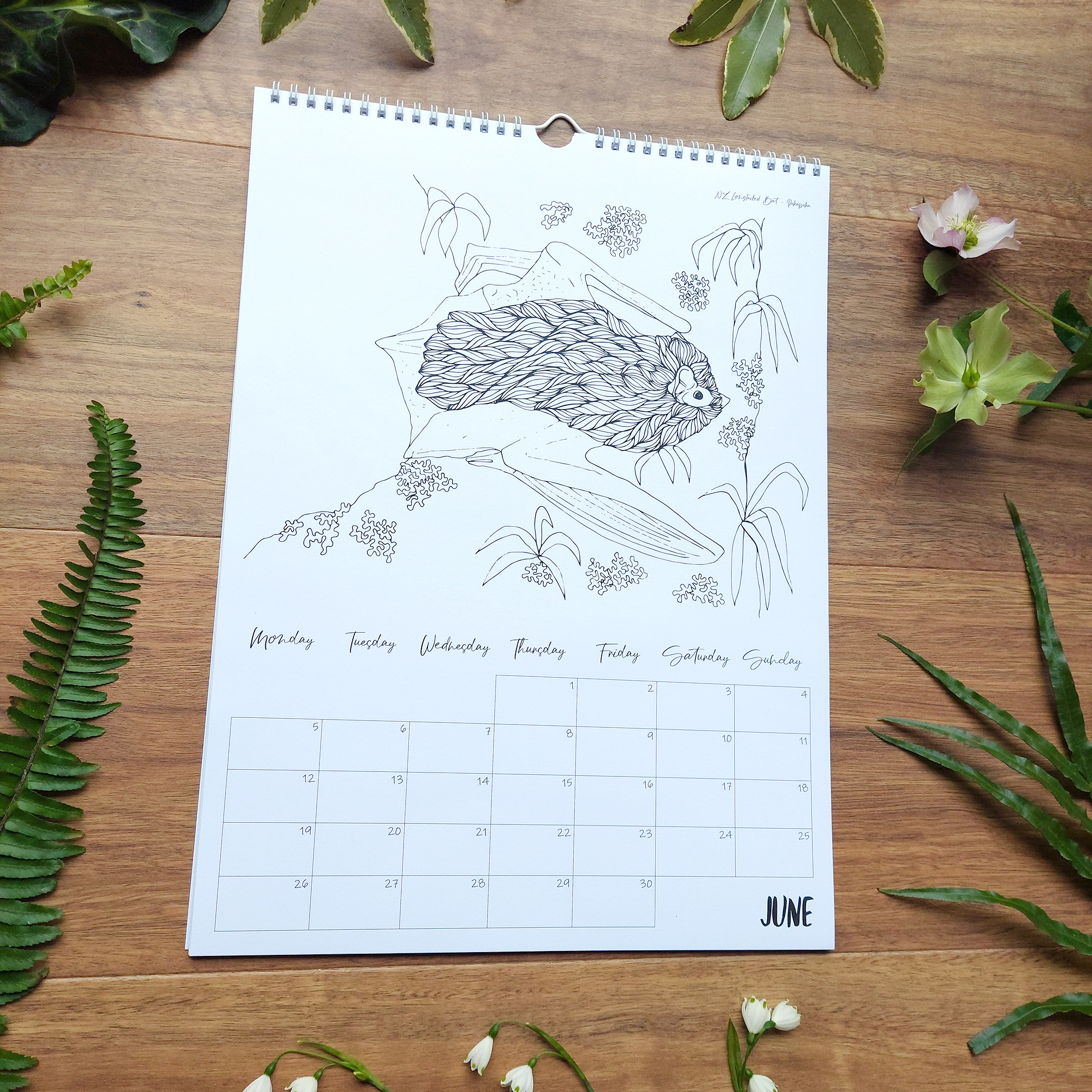 NZ Natives Colouring Calendars 2023 - Penny Royal Design
