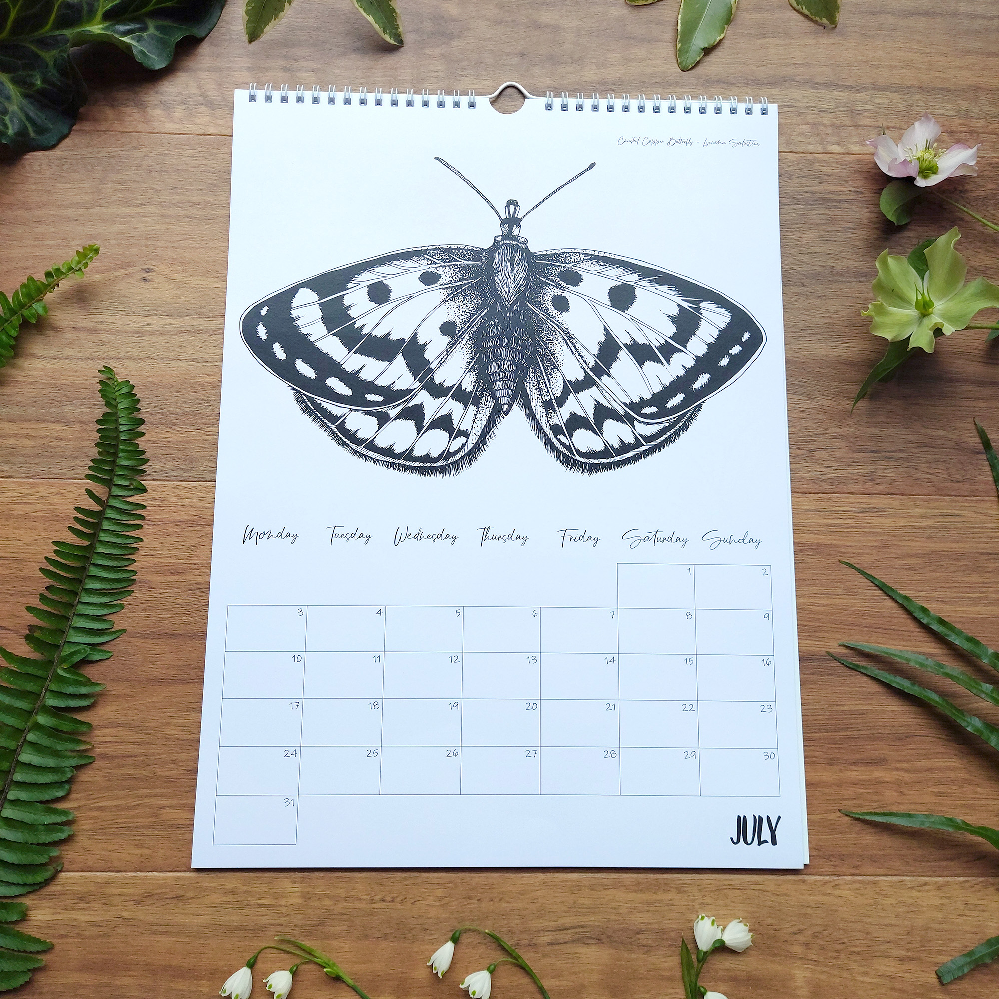 NZ Natives Colouring Calendars 2023 - Penny Royal Design