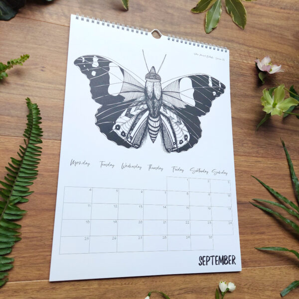 NZ Natives Colouring Calendars 2023 - Penny Royal Design