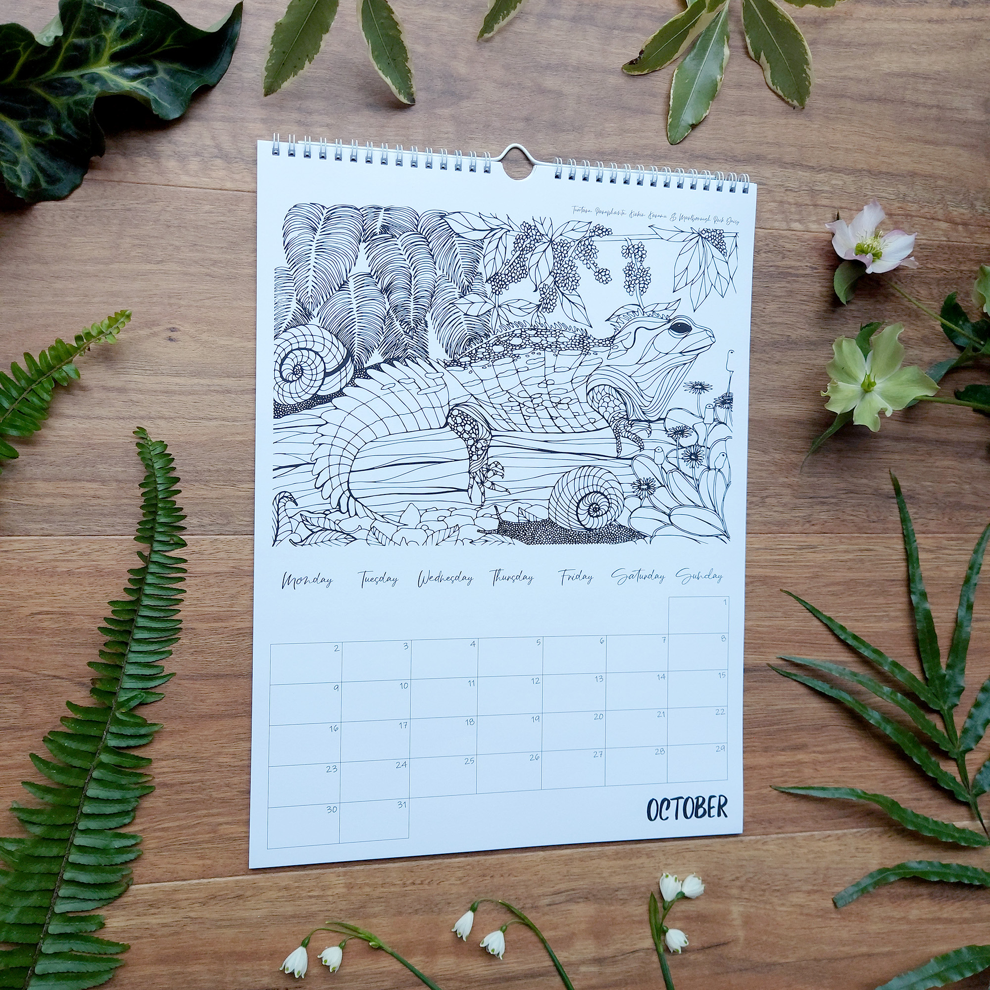 NZ Natives Colouring Calendars 2023 - Penny Royal Design