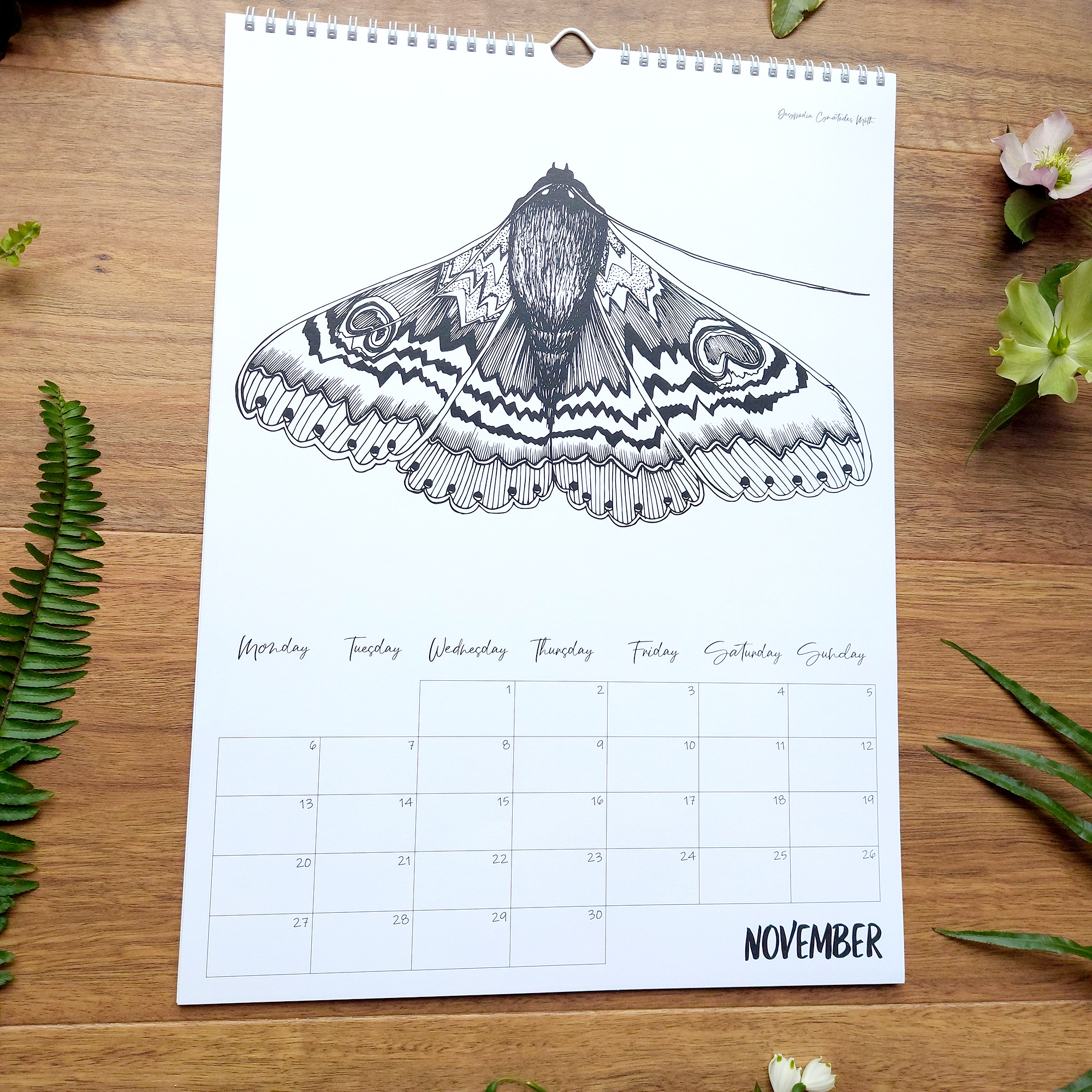 NZ Natives Colouring Calendars 2023 - Penny Royal Design
