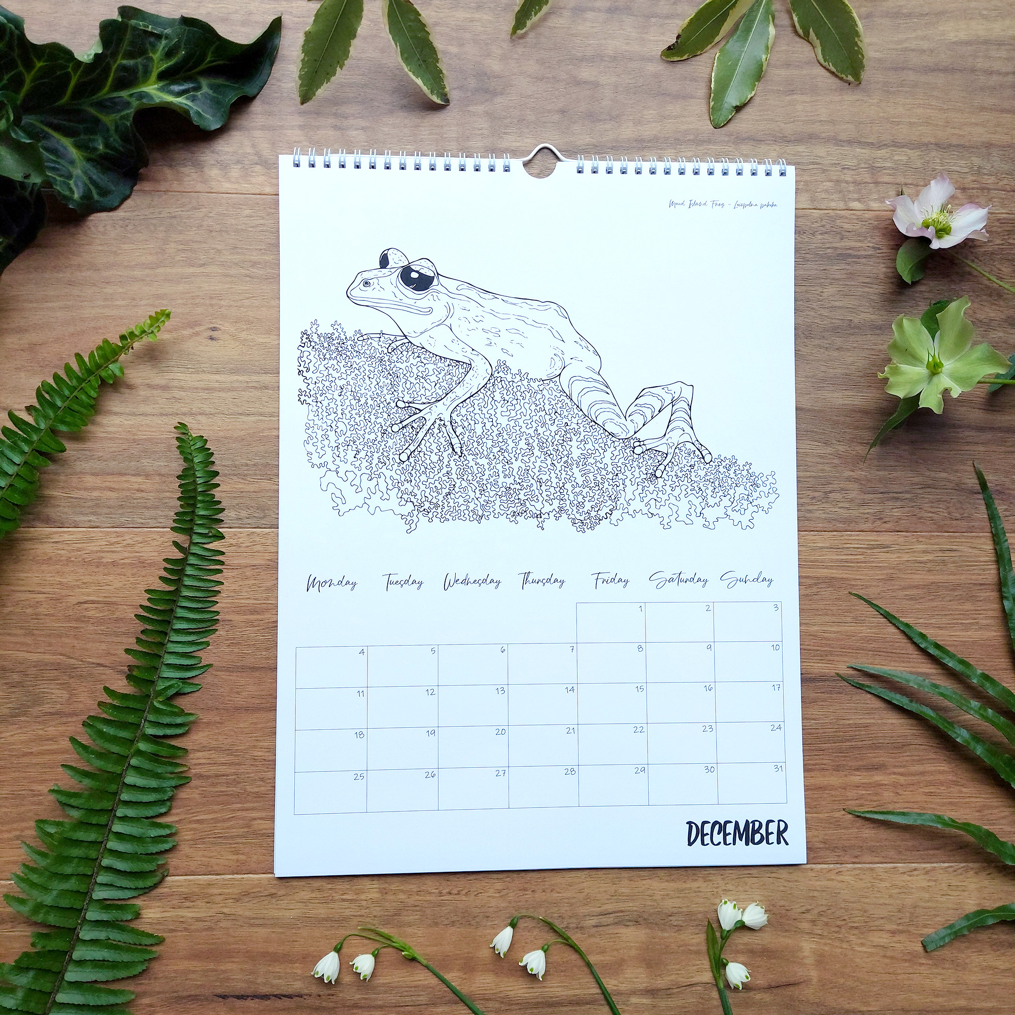 NZ Natives Colouring Calendars 2023 - Penny Royal Design